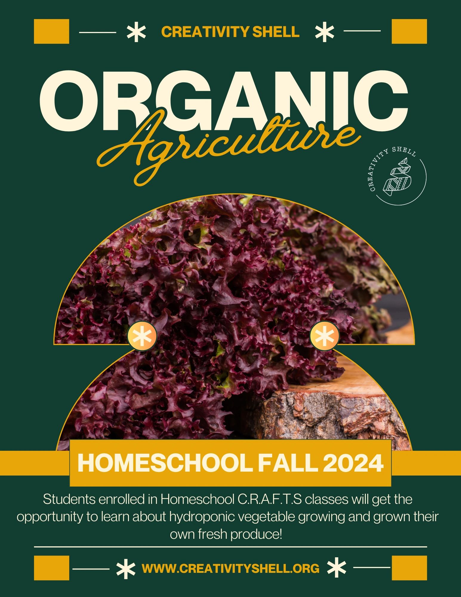 Homeschool C.R.A.F.T.S introduced to Organic Hydroponic FARMING!